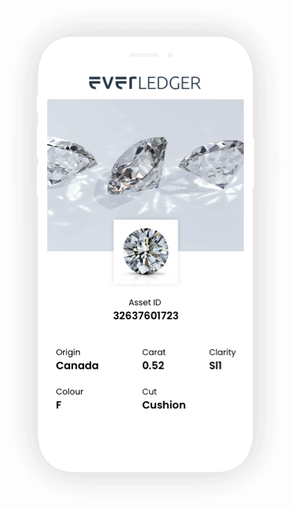 Portfolio | Success Stories of Delivered Digital Solutions